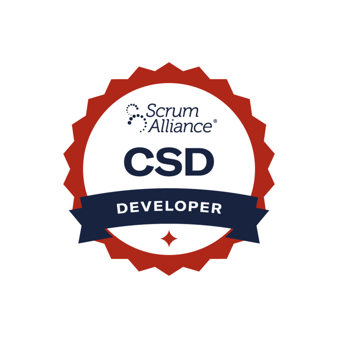 CSD – Agile Business Institute